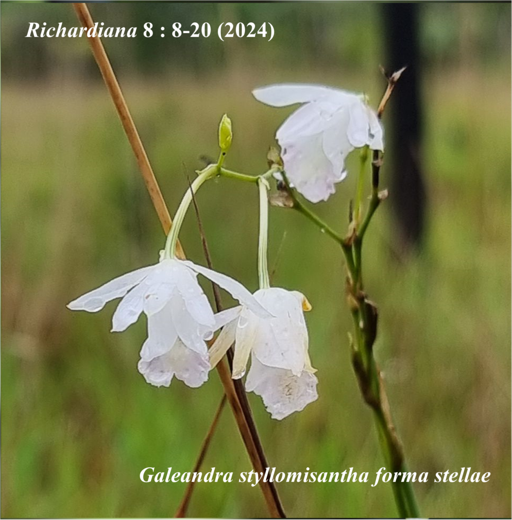 Une nouvelle forme de Galeandra styllomisantha (Orchidaceae ...