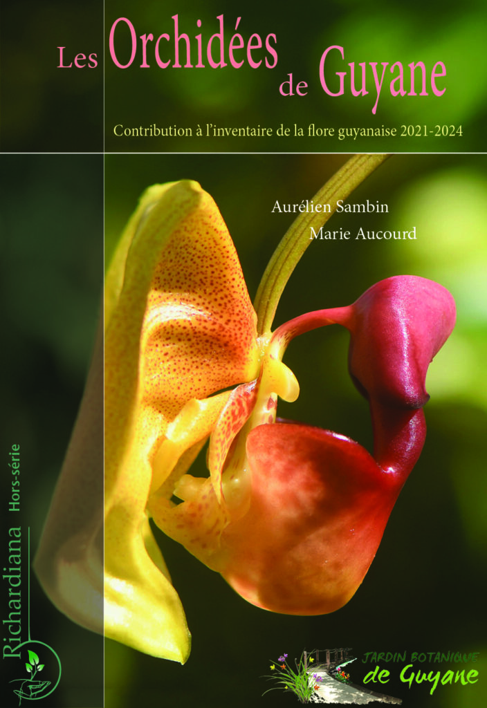 Jardin botanique de Guyane - Balade paisible à travers la flore Guyanaise